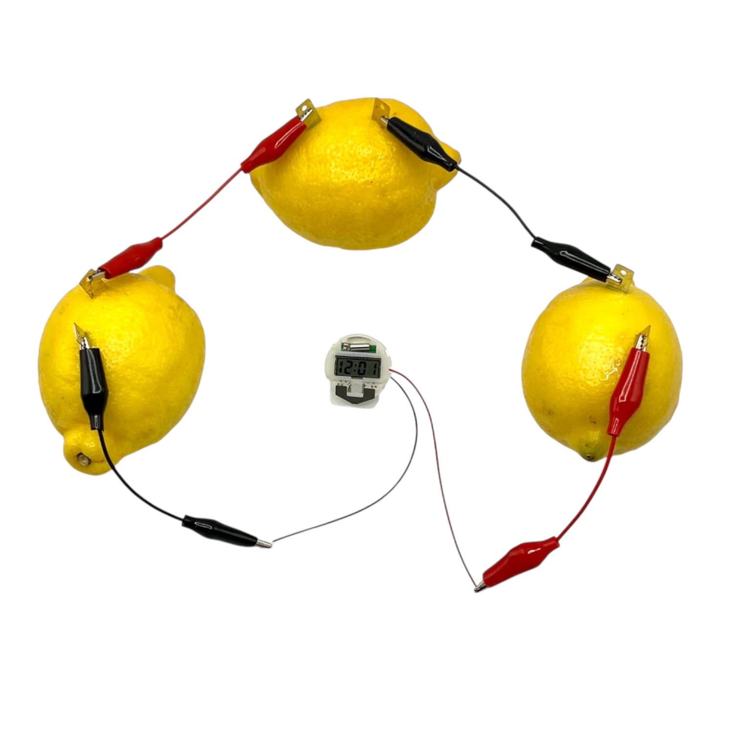 Lemon Electricity S.T.E.M. Experiment Kit – Power with Produce